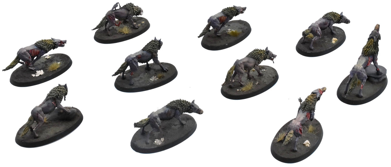 SOULBLIGHT GRAVELORDS 10 Dire Wolves #1 PRO PAINTED Sigmar 0742 ...