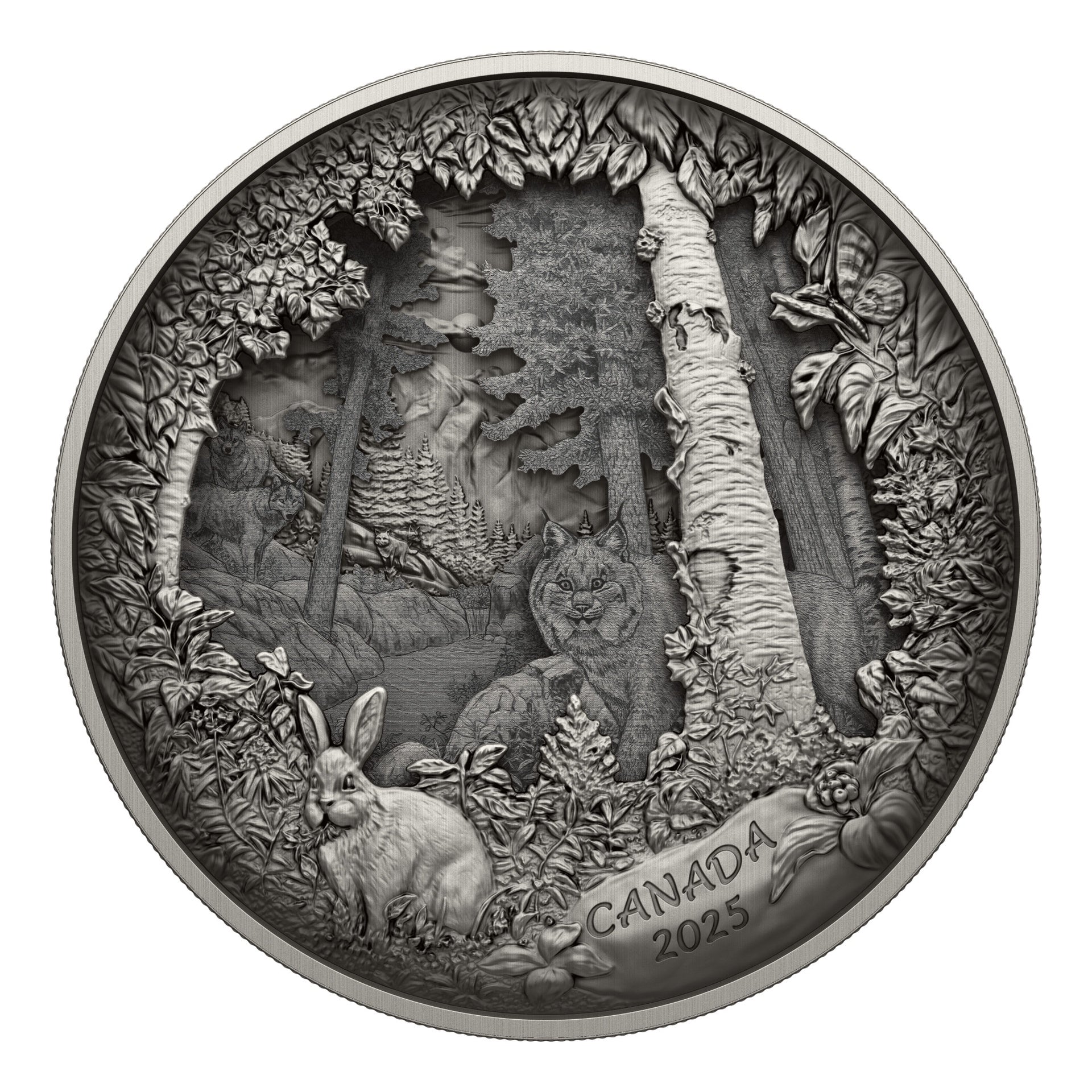 Predator or Prey in Shadow Box – Fine Silver Coin (247976) – Kingdom of ...